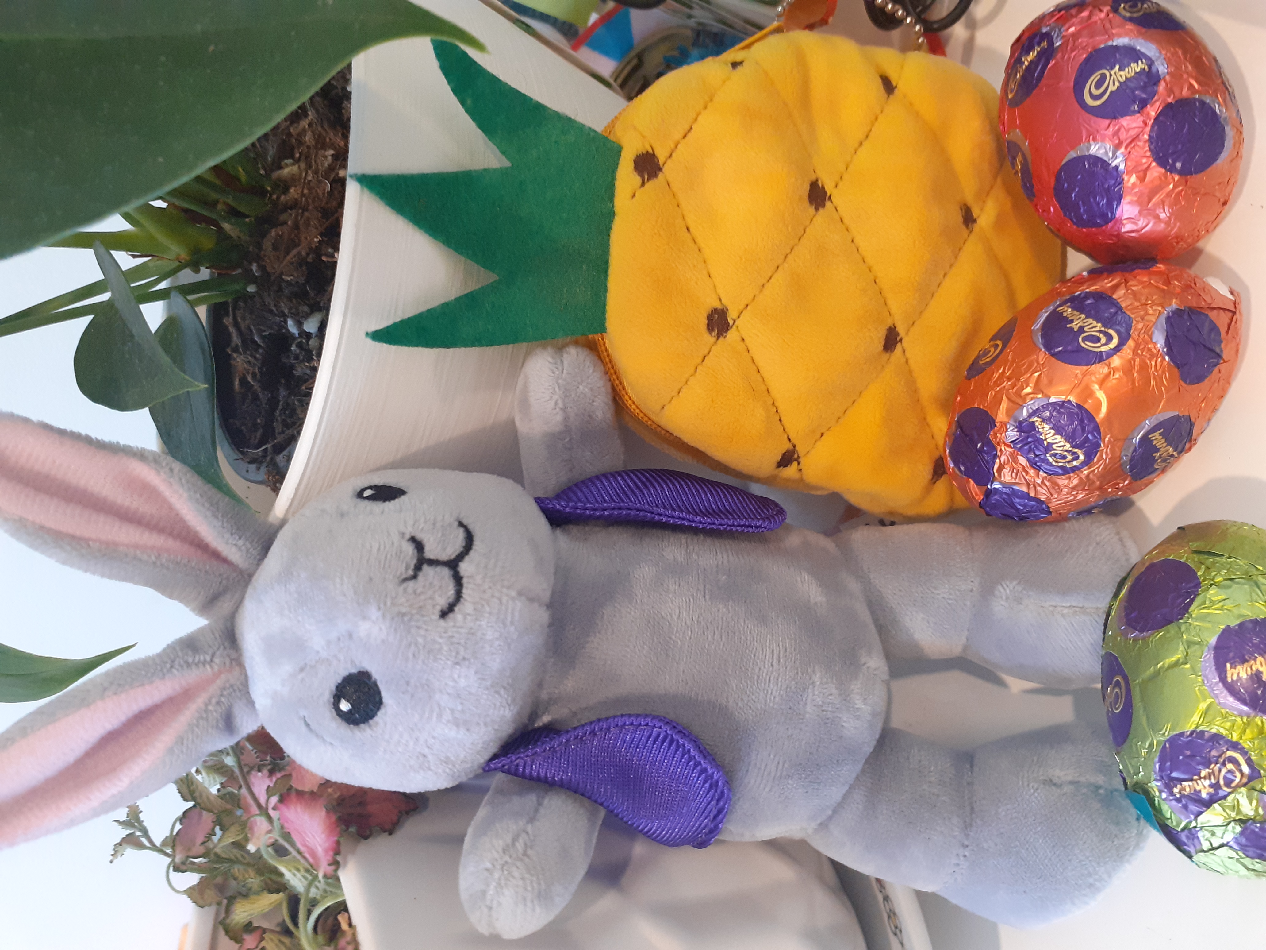 Eggs | Kristine’s pineapple farm